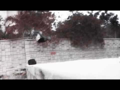 Back Flip Test - YouTube