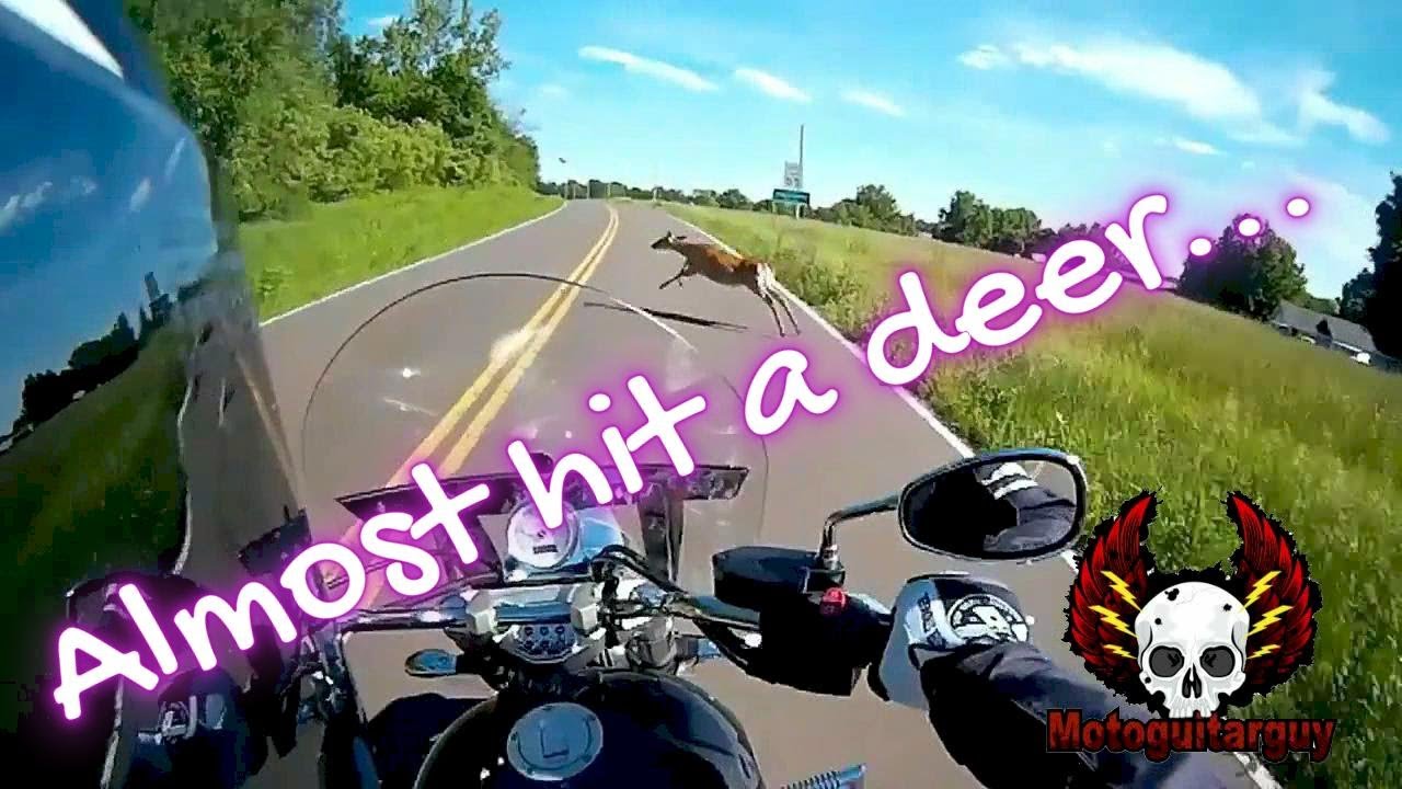 Retro Weekend Bonus Video: Almost hit a deer - YouTube