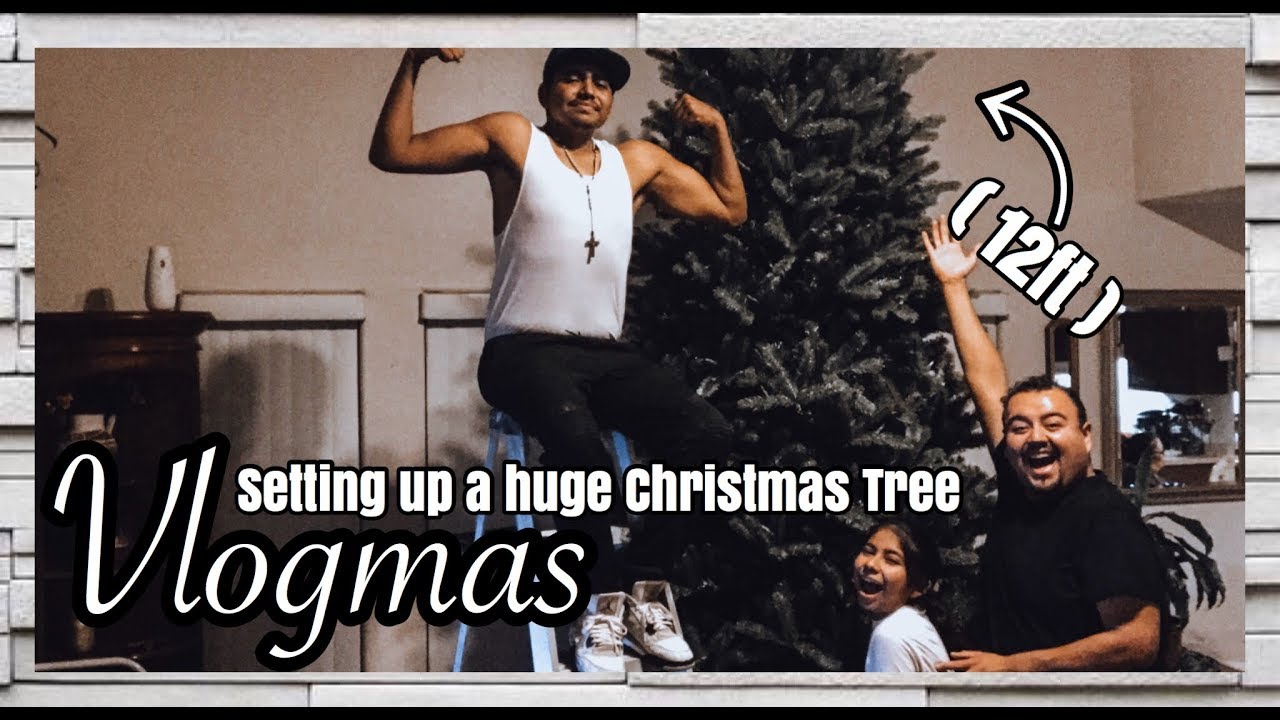 Vlogmas Putting Up The Huge Christmas Tree Youtube