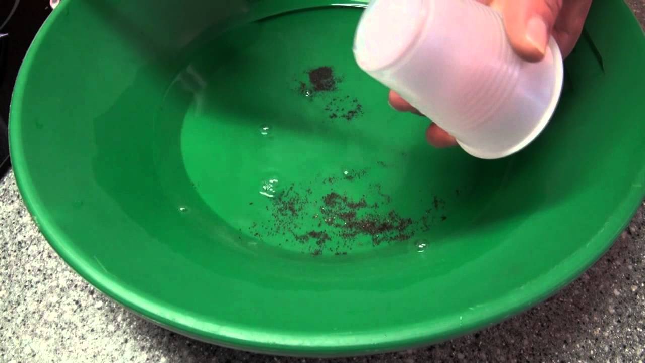 Fine Gold , Black Sand, Panning and Clean up - YouTube