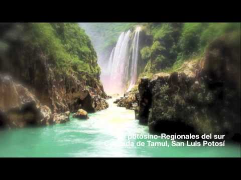 Huapango El Potosino, Regionales del Sur - YouTube