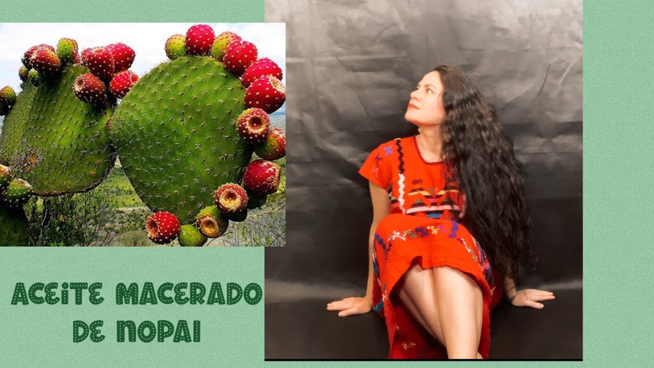 Macerar aceite de Nopal para cosmética natural, recetas naturales - YouTube