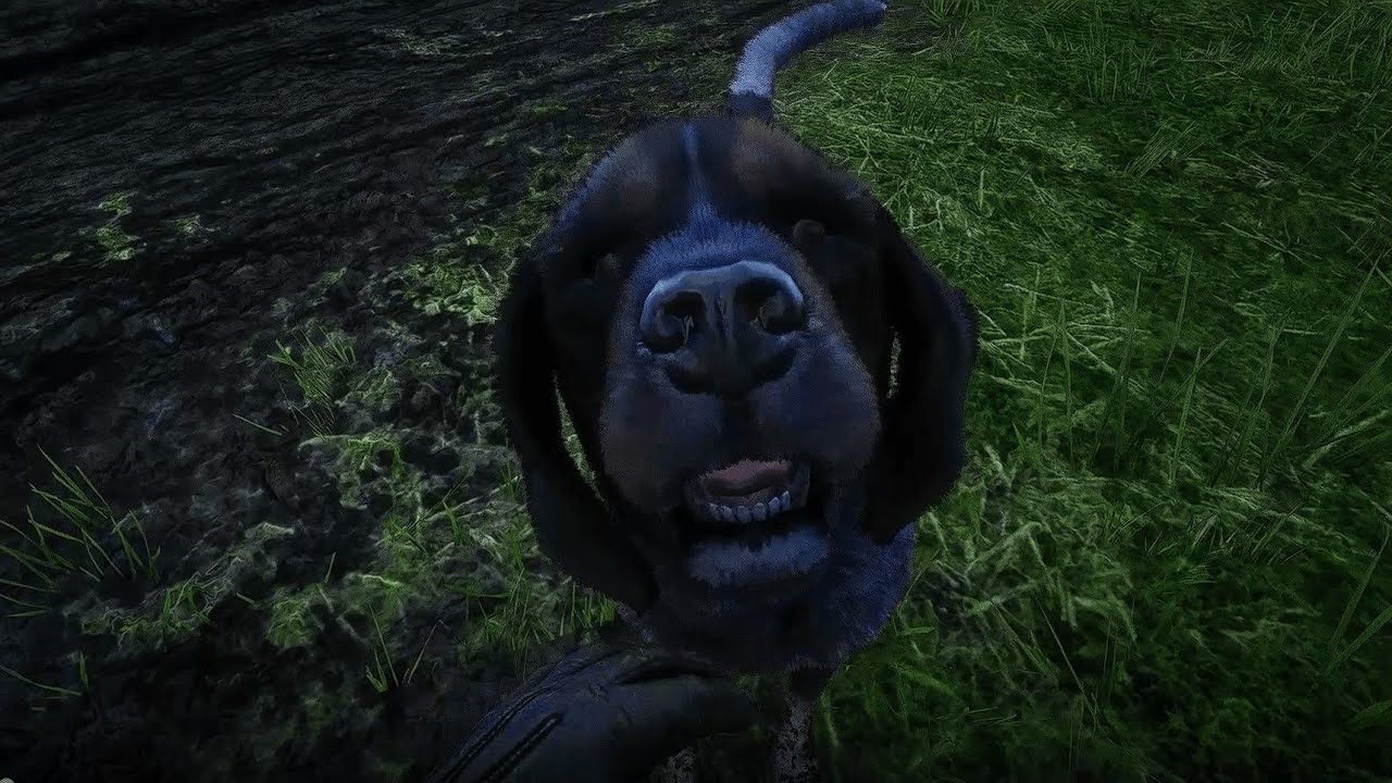 Red Dead Redemption 2 Cute Dog - YouTube