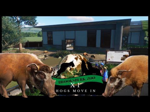 Brooksburk Zoo | The Hogs move in | Planet Zoo | Tropical Pack DLC ...