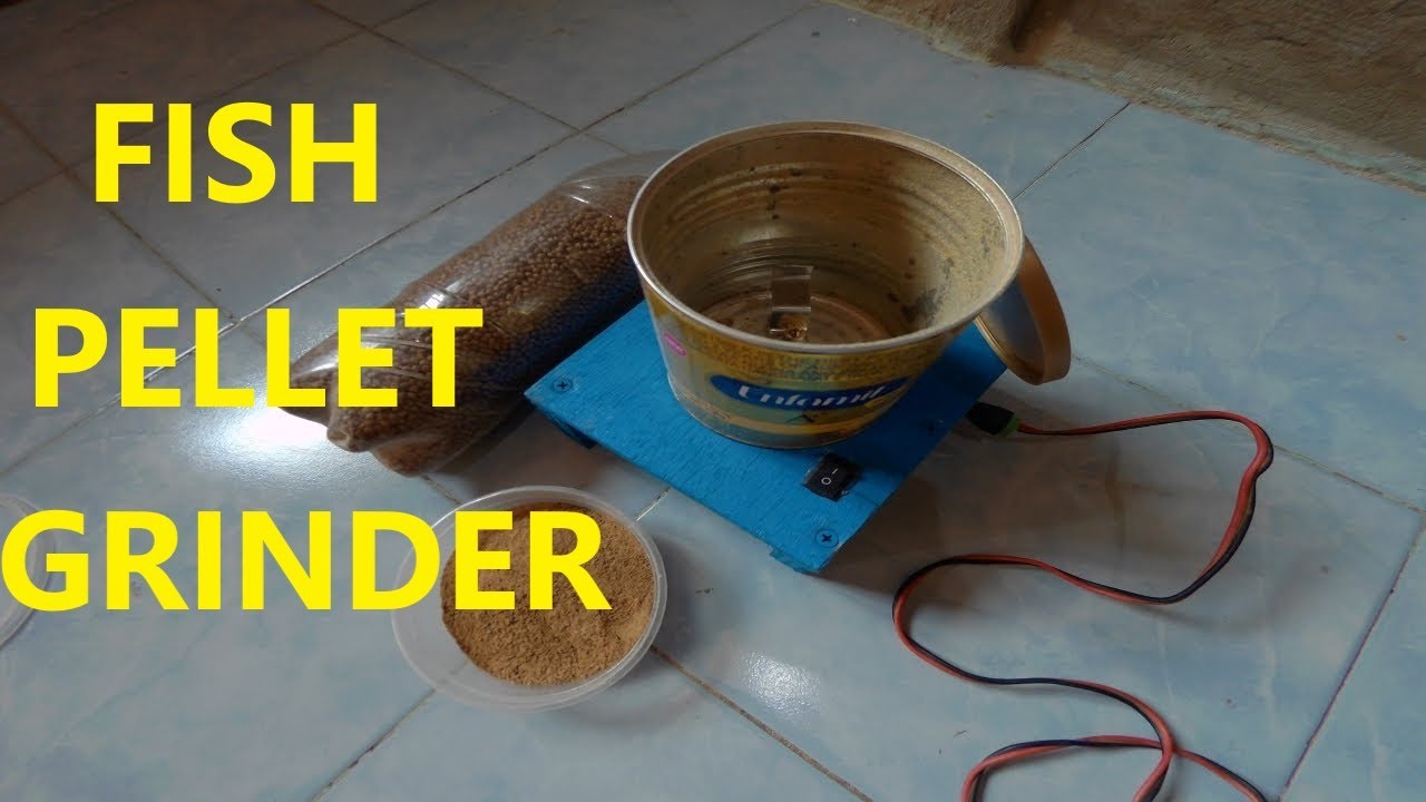 How to make Fish Pellet Grinder for Koi Fry & Tilapia Fingerlings using ...
