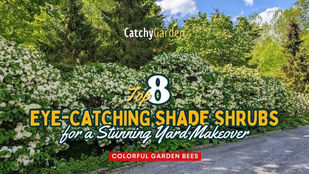 Shady Delights: 8 Eye-Catching Shrubs for a Stunning Yard Makeover 🌳🌺 ...