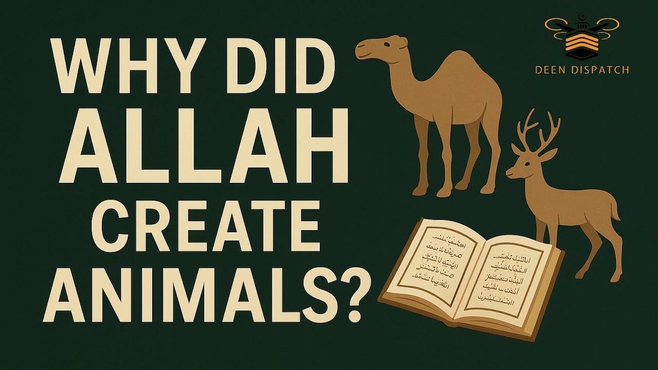 Animals - Why Did Allah Create Them? - YouTube