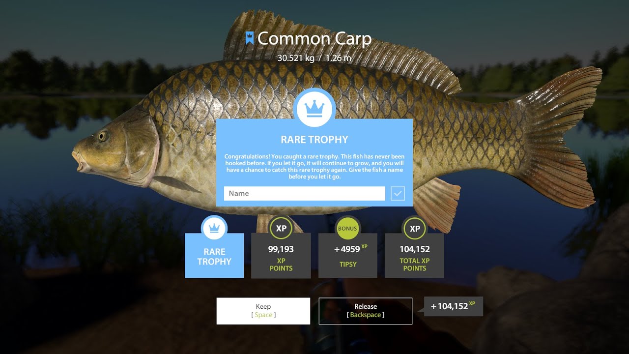 Russian Fishing 4 - RF4 | Common Carp | Amber Lake | Blue Tag Trophy ...