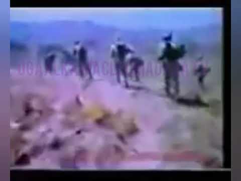 NAFTII HURE CABDI KAAMIL CAWAALE 77