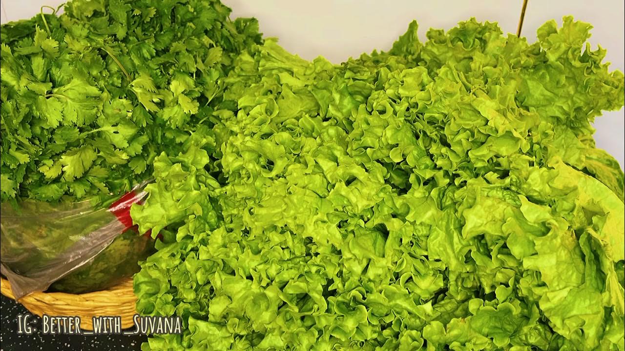 Навчит байцааг хэрхэн удаан хадгалах вэ Youtube