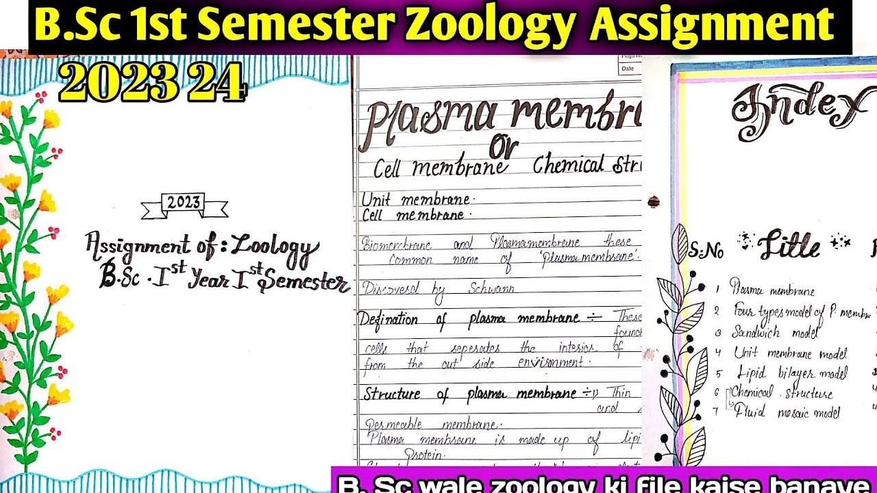 Zoology Assignment /B.Sc1st Semester2024 25 Zoology ki file kaise ...