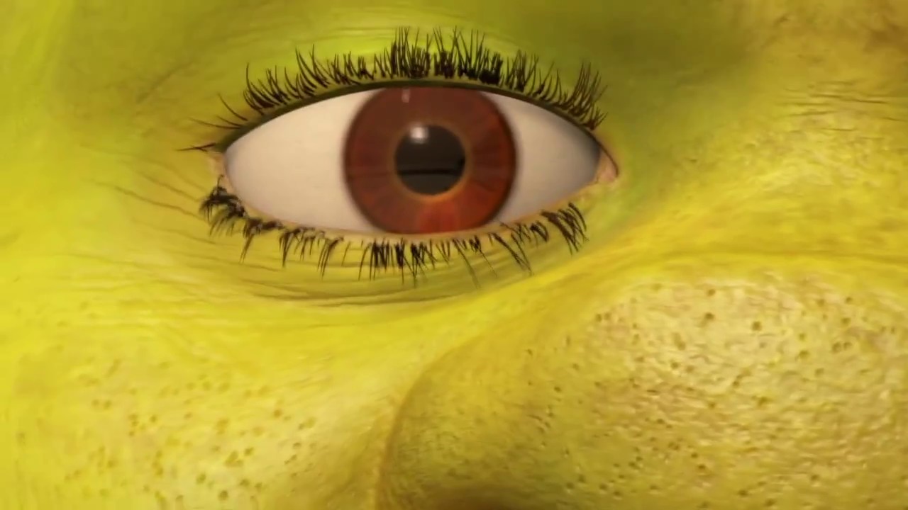 Fifty Shades of Grey / bee movie x shrek - YouTube