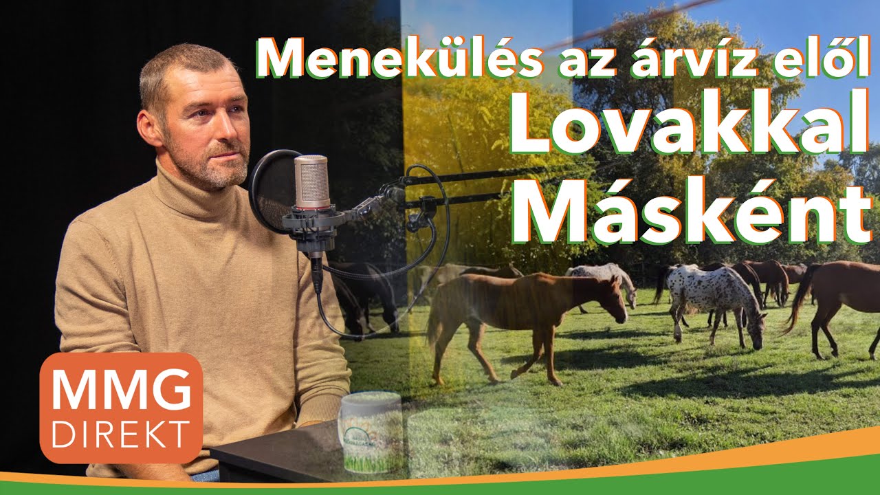 Menekülés az árvíz elől "Lovakkal Másként" | Halápi Roland | Halápi ...