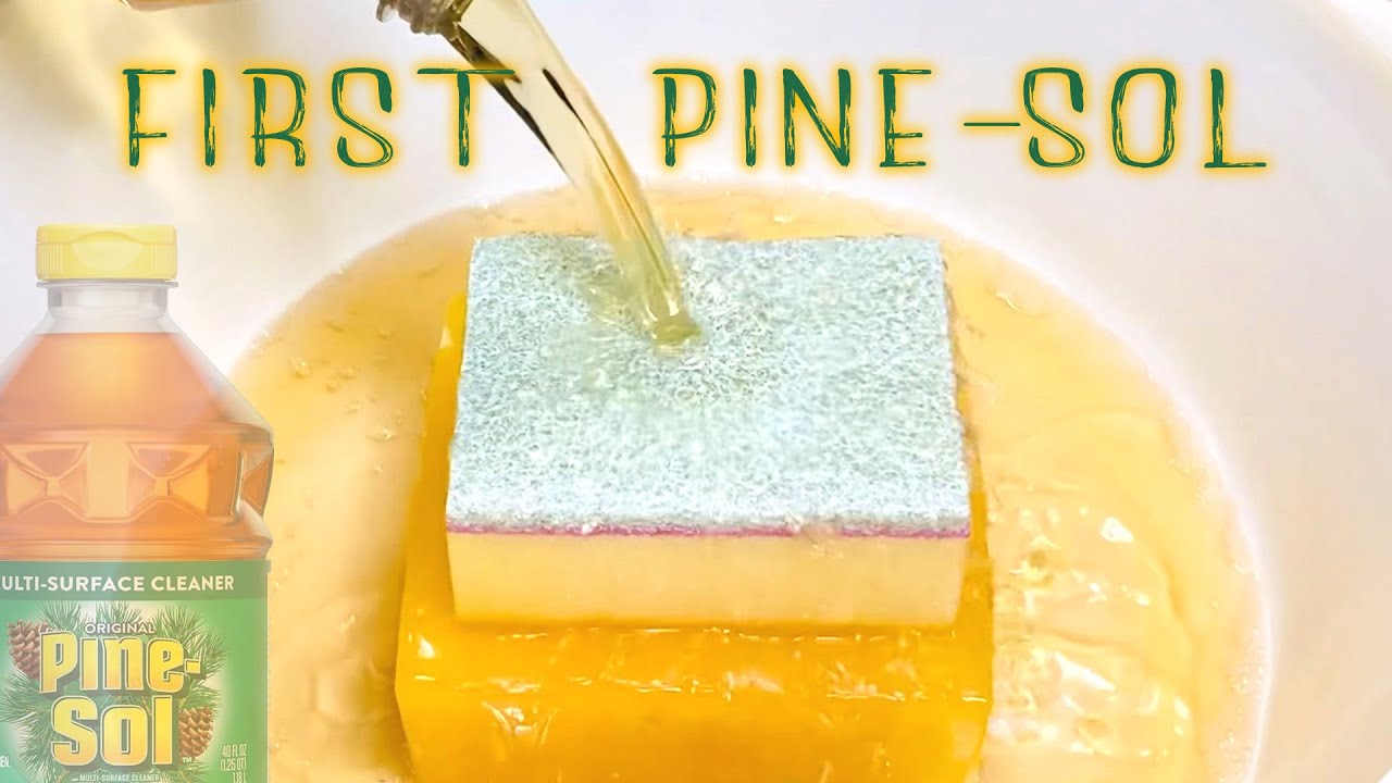 ASMR Sponge Squeeze 57.First Pine-sol - YouTube