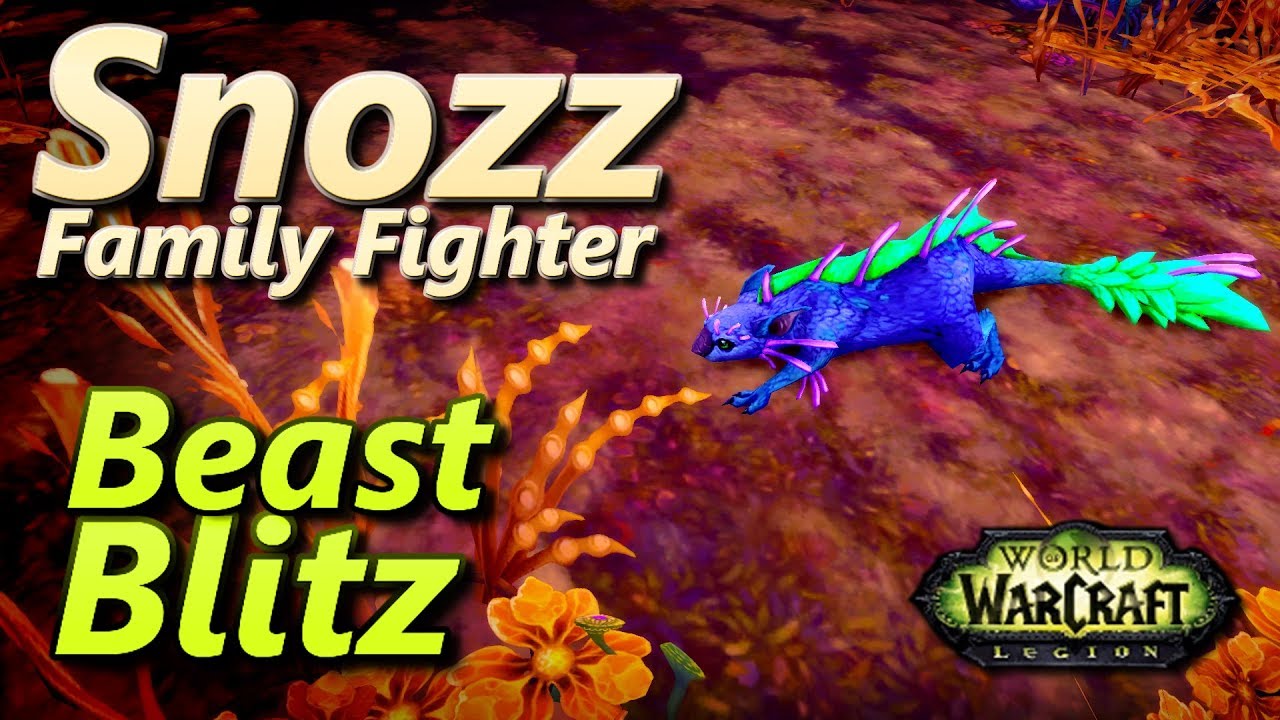 Snozz Beast Blitz Family Fighter Warcraft Pet Battle - YouTube