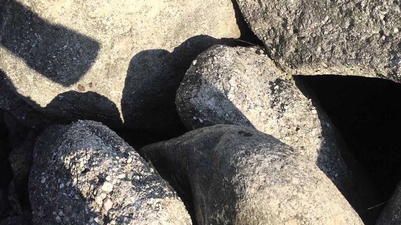 Devil's Racecourse on Sharp Mt in Dauphin County, PA - YouTube