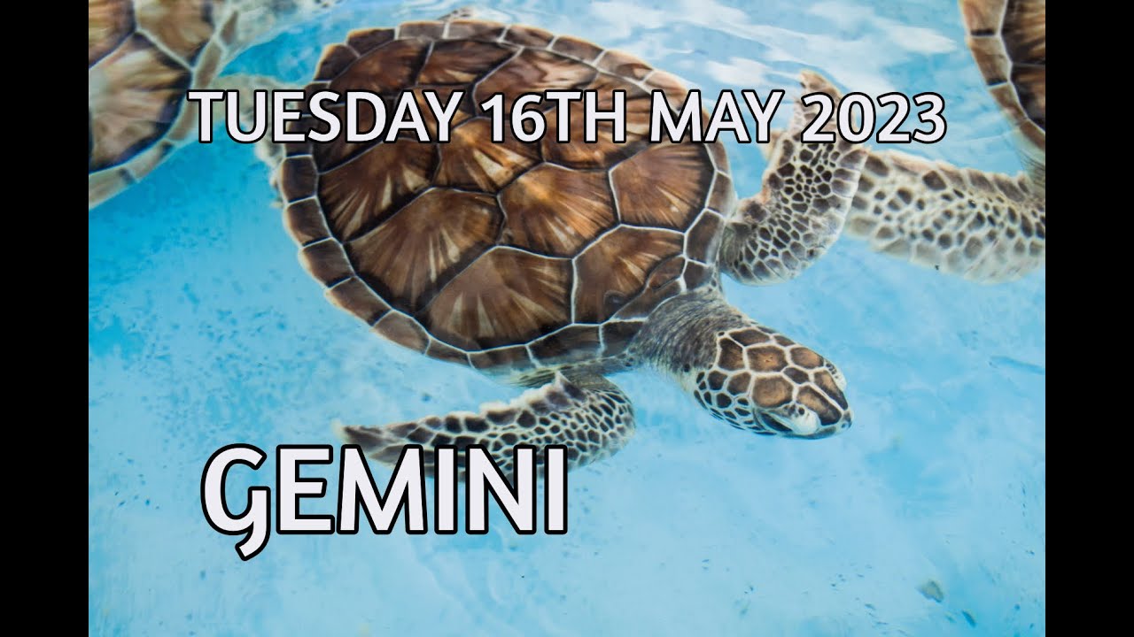 GEMINI | TUESDAY MAY 16TH 2023 | DAILY TAROT READING - YouTube