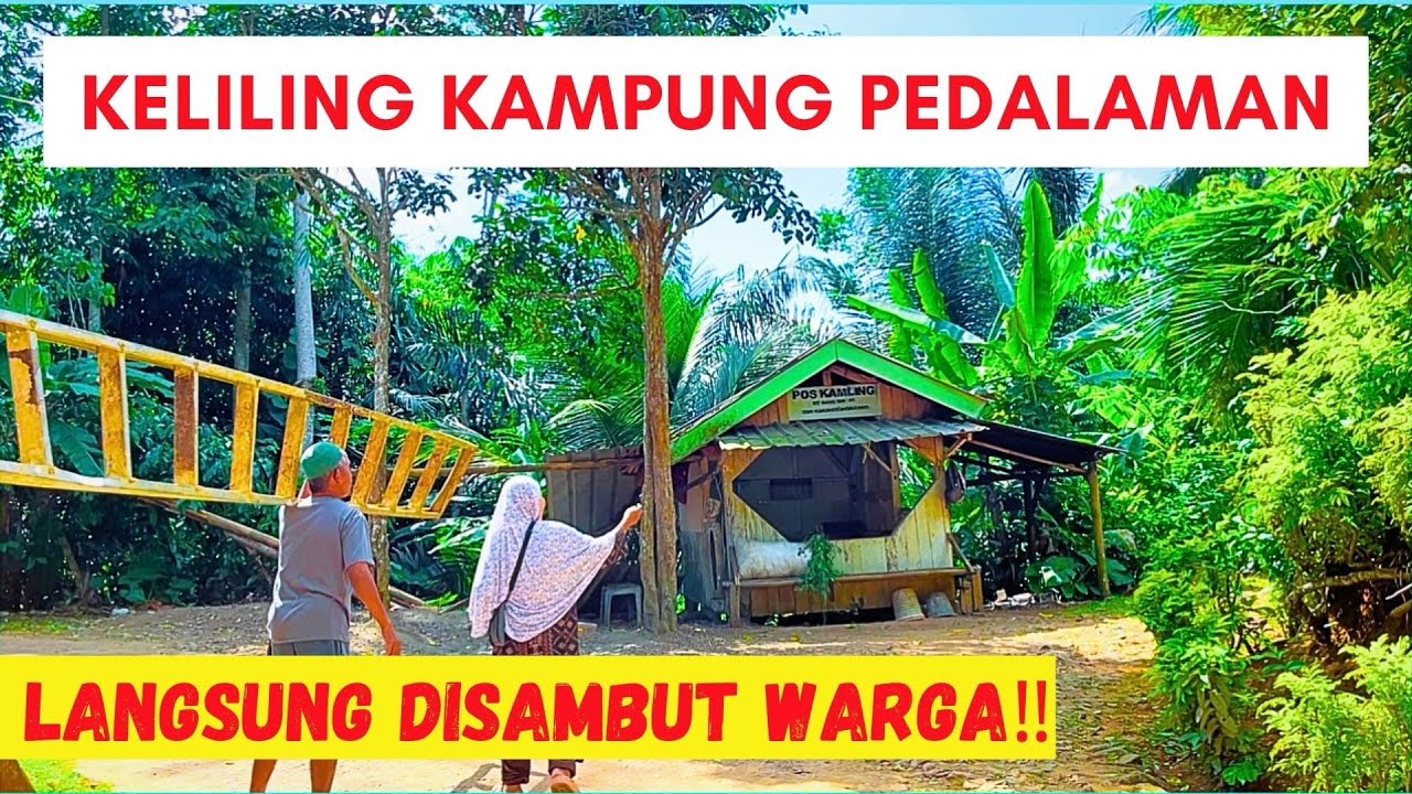 DESA SEJUK DI JAWA BARAT ‼️ MENYUSURI KAMPUNG PEDALAMAN SUNDA, Suasana ...