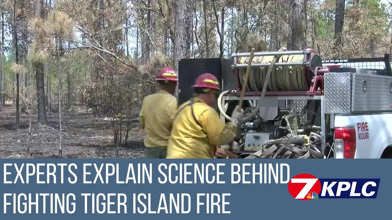 Experts explain science behind fighting massive Tiger Island Fire - YouTube