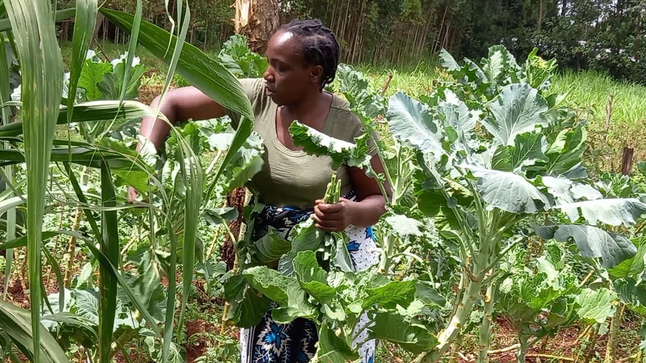 African Village Life//Cooking Most Delicious Village Vegetables - YouTube