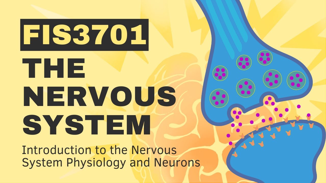 Inside the Brain: An Introduction to Neurons and the Nervous System ...