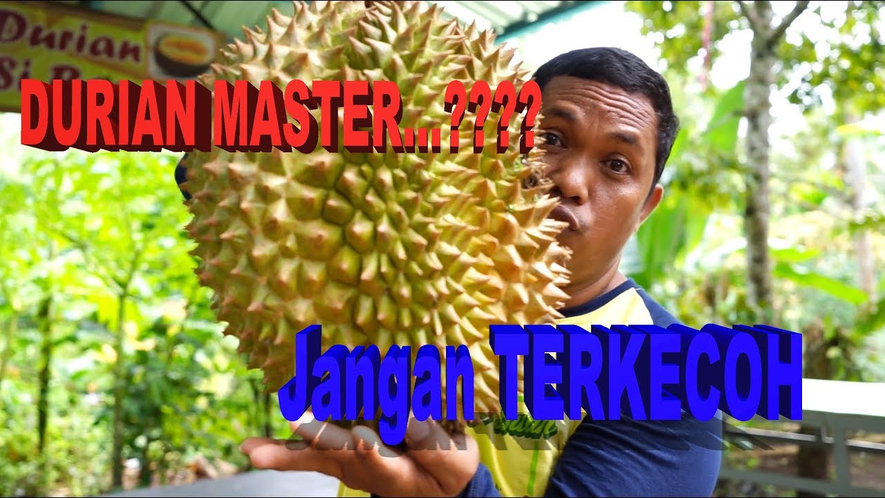 Durian Master...? Awas jangan Tertipu.... - YouTube