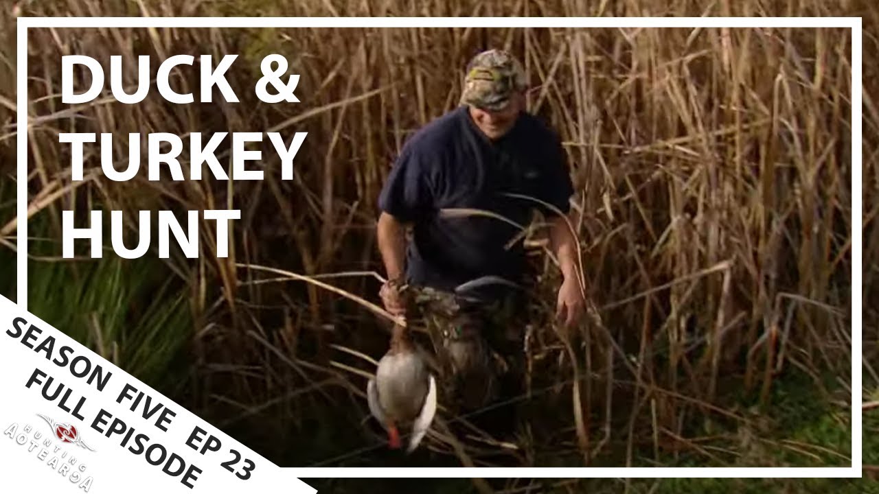 Hunting Aotearoa Series 5 EP23 Turkey and Duck hunting - YouTube