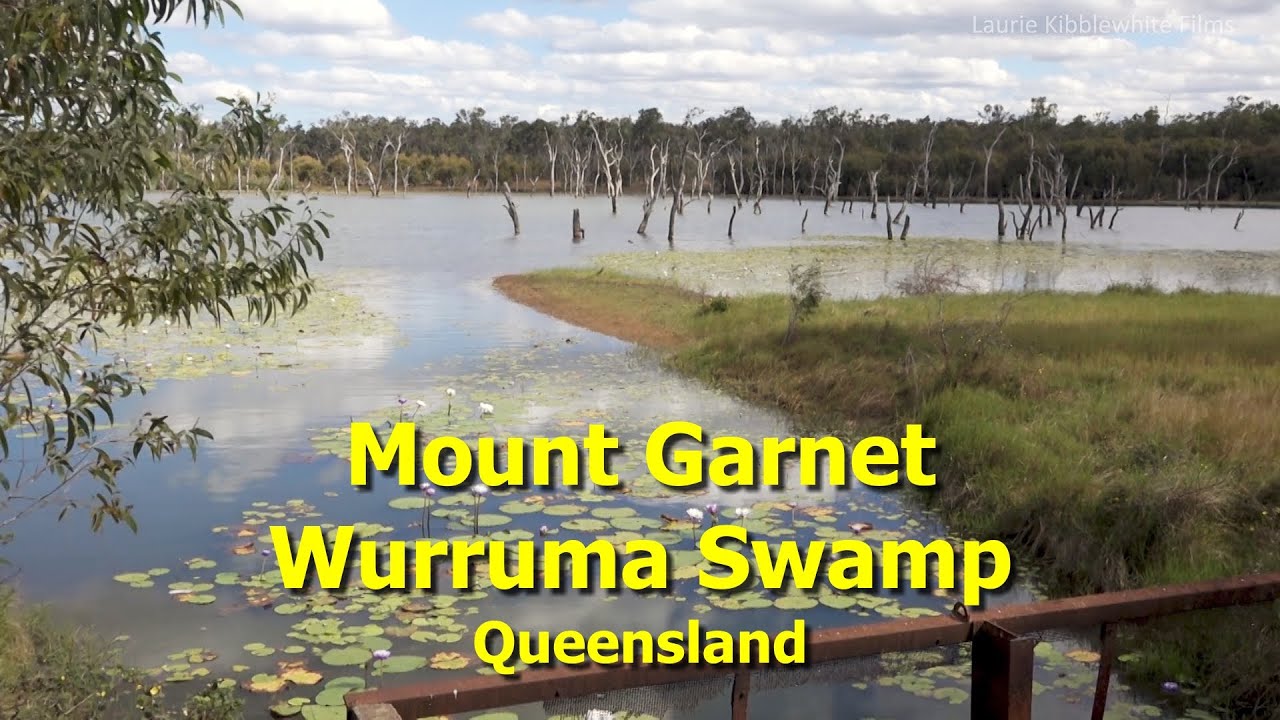 Mount Garnett - Warrumu Swamp - Queensland - YouTube