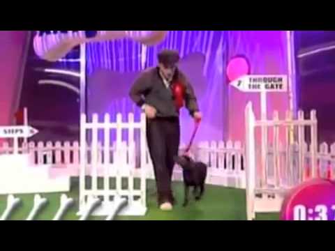 Ant Vs Dec-Puppy Training pt2