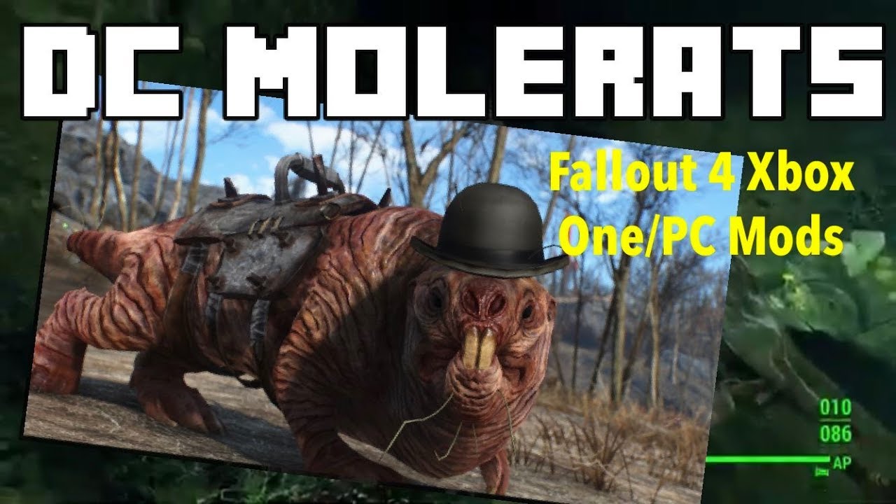 DC Molerats Fallout 4 Xbox One/PC Mods - YouTube