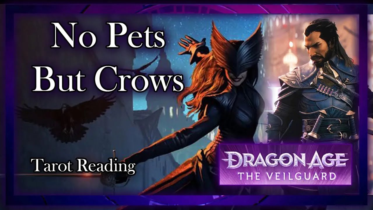 PETS & MOUNTS & CROWS Dragon Age The Veilguard Tarot - YouTube