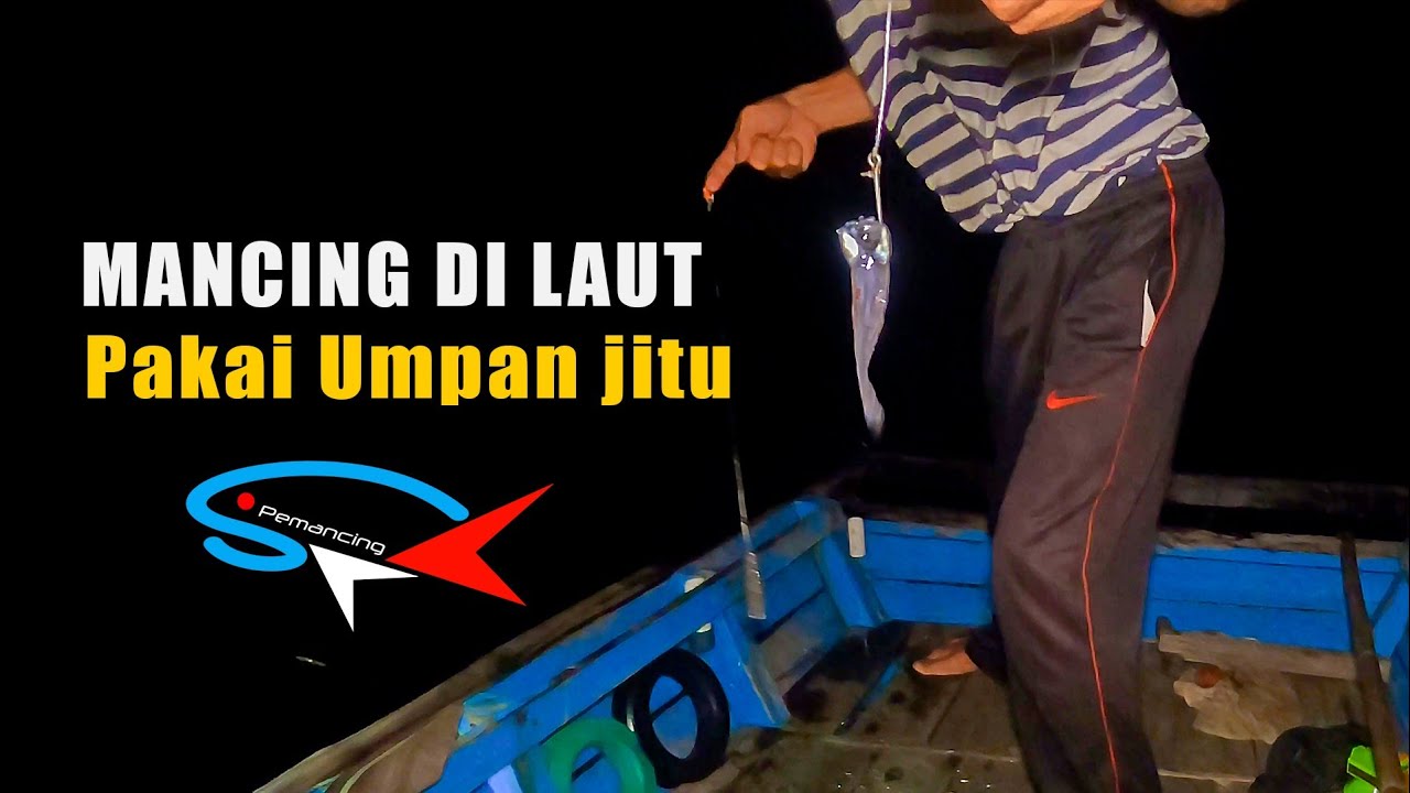 Mancing Pakai Umpan Sotong Cumi JOSSS | Mancing di laut - YouTube