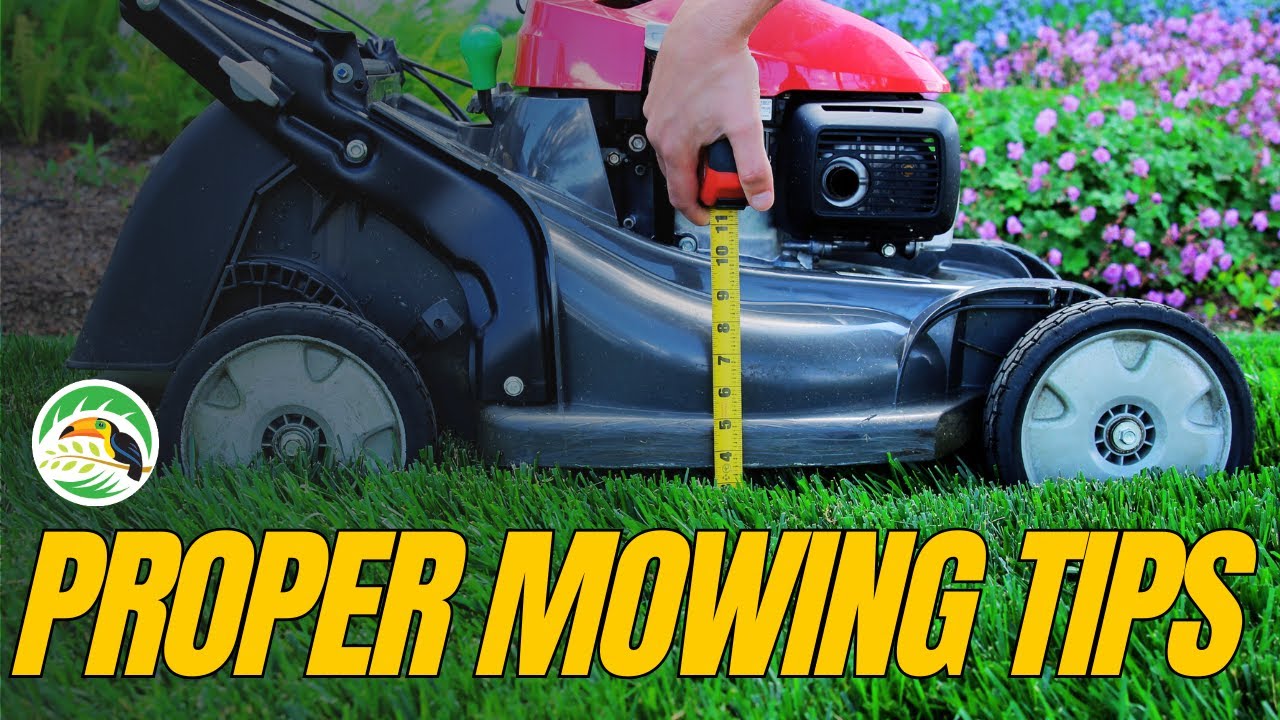 Proper Mowing Tips - YouTube