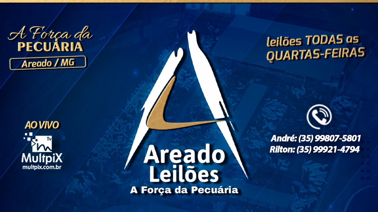 📌Leilão Presencial e Virtual AREADO LEILOES - Areado/MG - 🎥multpix.com ...