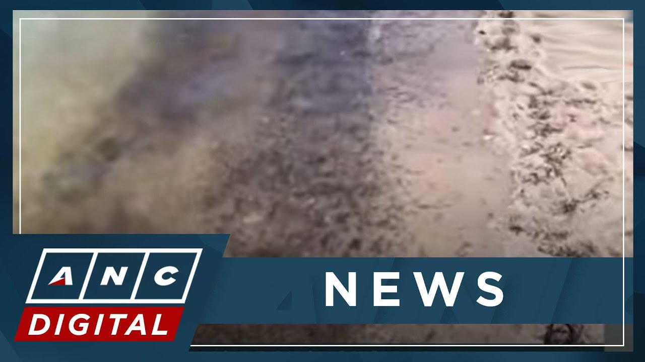 Groups want to see more responsible shipping line industry to prevent ...