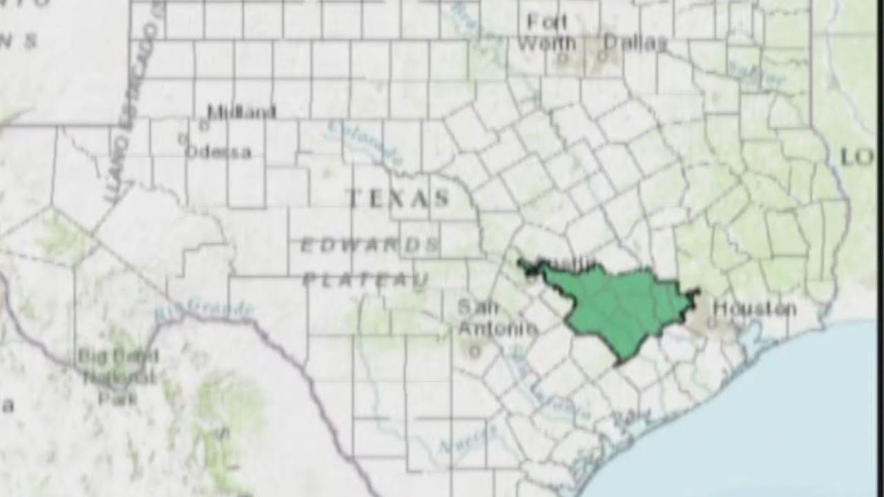 In Texas' 10th Congressional District, a rematch focused on health care ...