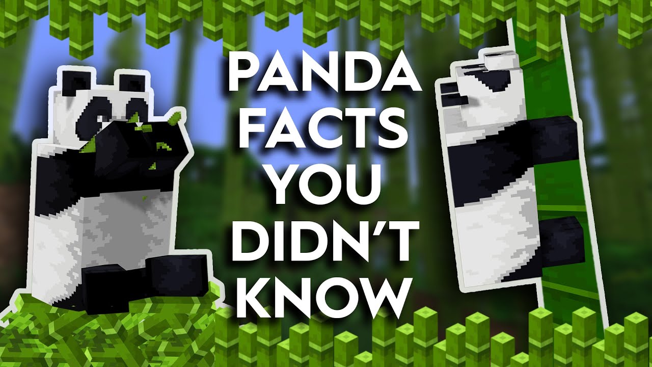 Minecraft Pandas Facts That You Probably Didn t Know About YouTube minecraft-pandas-facts-that-you-probably-didn-t-know-about-youtube