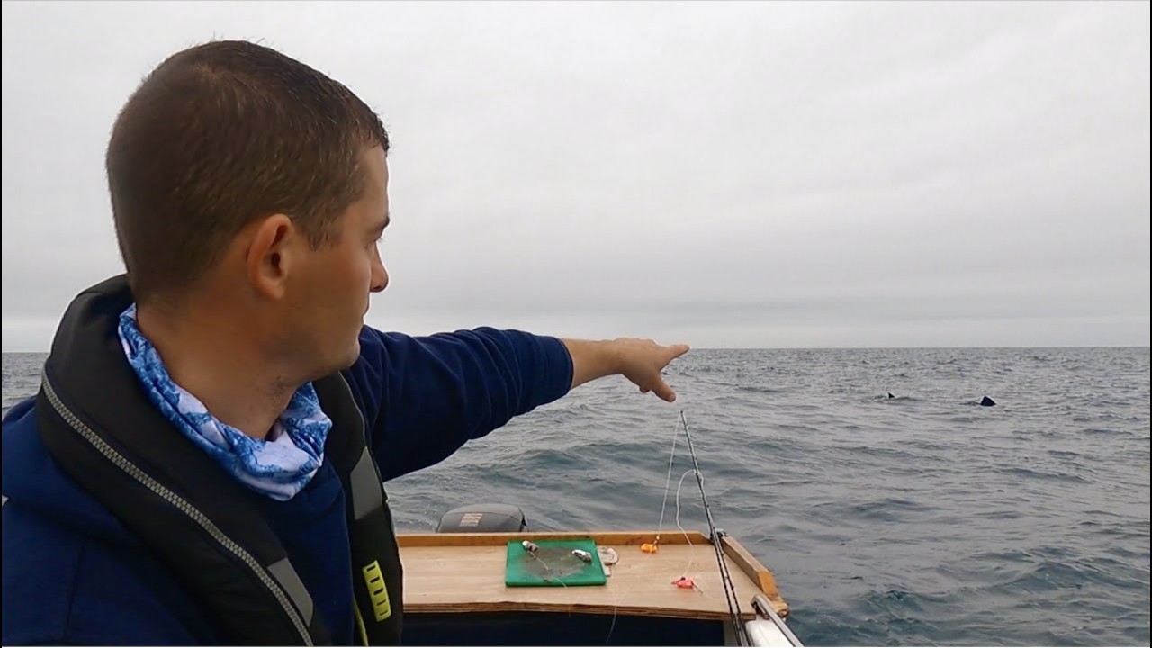 Sea Fishing UK - Exploring different areas searching for fish - WHAT ...
