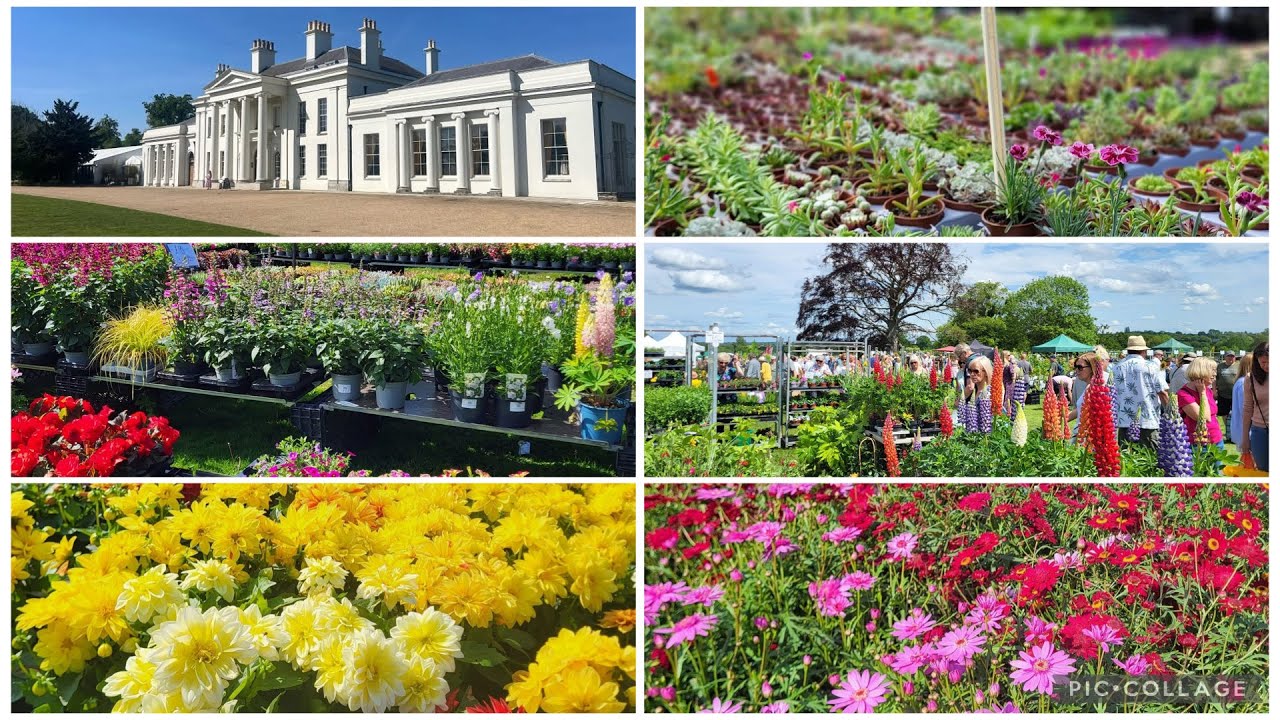 National Flowers show Hylands Estate Essex | Travel vlog | Flower Show ...
