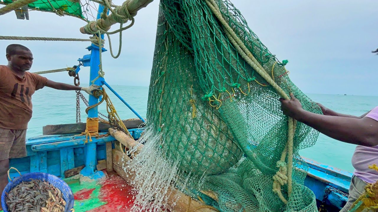 Ohh Prawn Catching at sea 💢 Very Old Method 🤩Tiger prawns | Mandapam ...
