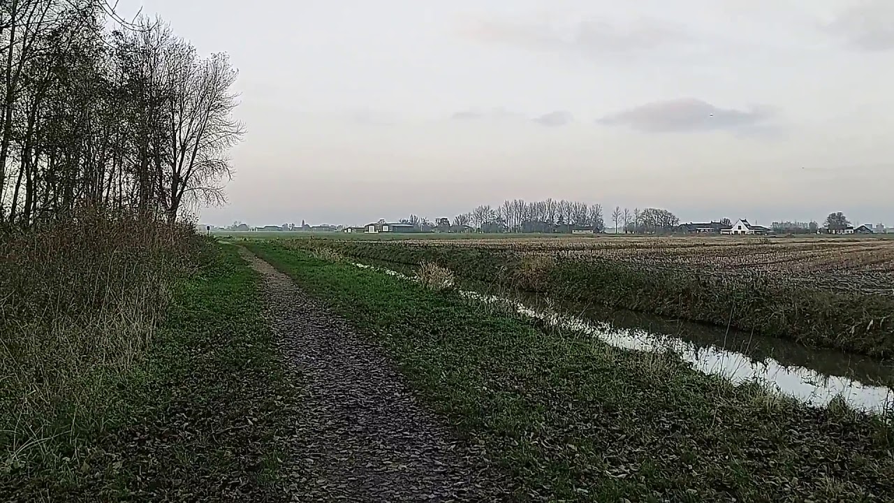 Moto G9 Plus: video-sample