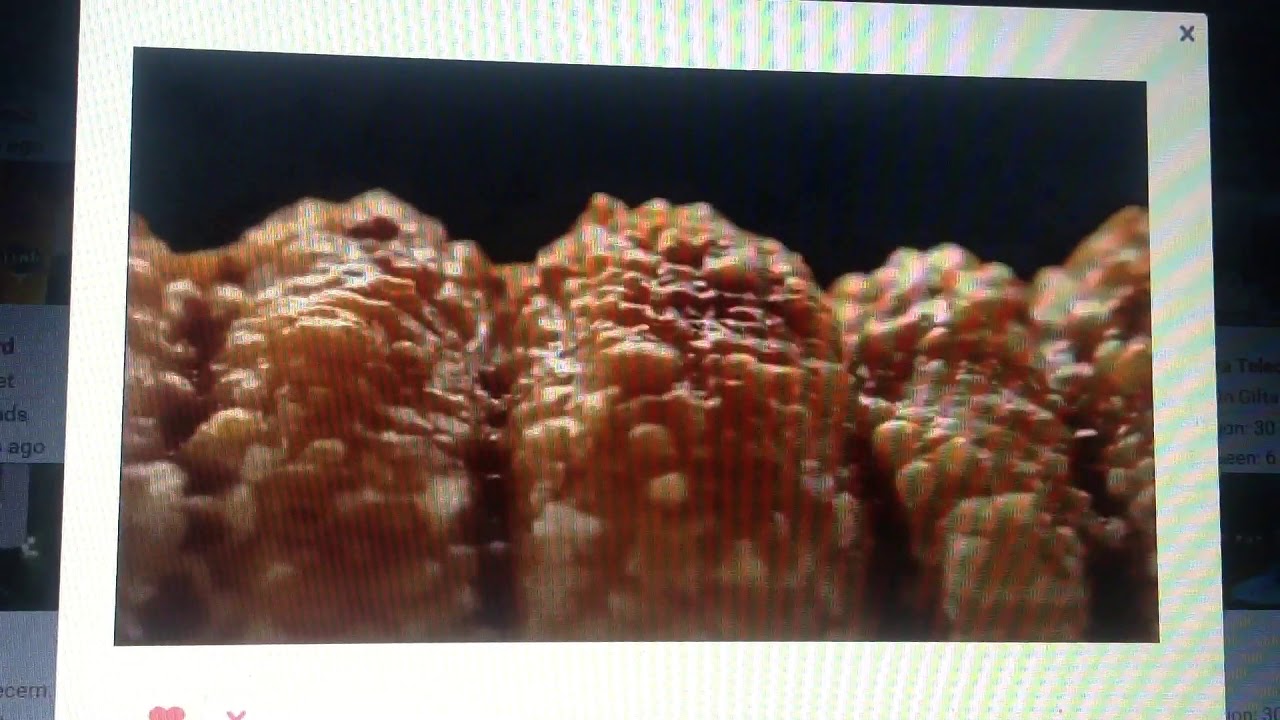 Pork 2018 Ad - YouTube