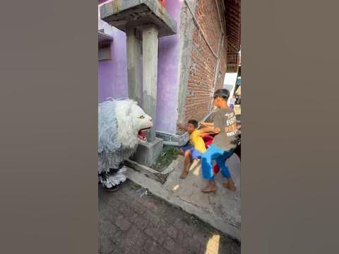 Bocil ff kaget tiba tiba ada can macanan ️ - YouTube