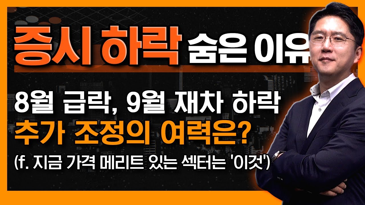 증시 하락의 숨은 이유 8월 급락 9월 재차 하락에 이어 추가 조정의 여력은 F 지금 가격 메리트 있는 섹터는 이것