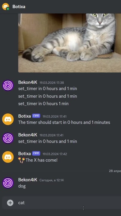 Милота на Big Python #shorts #python #bigpython - YouTube