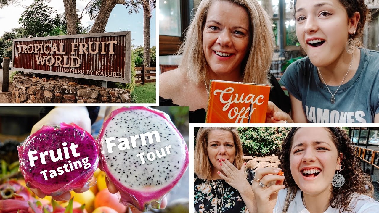 TROPICAL FRUIT WORLD VLOG! | Fruit Tasting, Farm Tour, Eating Bush ...