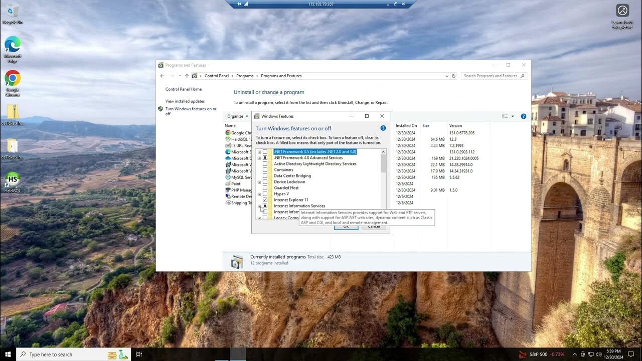 Enable IIS with CGI - YouTube