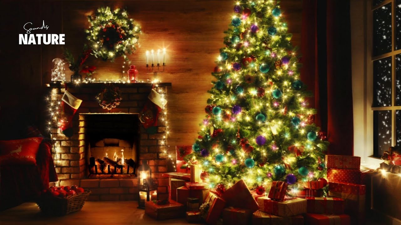 A healing and soothing Christmas atmosphere 1122 #relax#nature ...