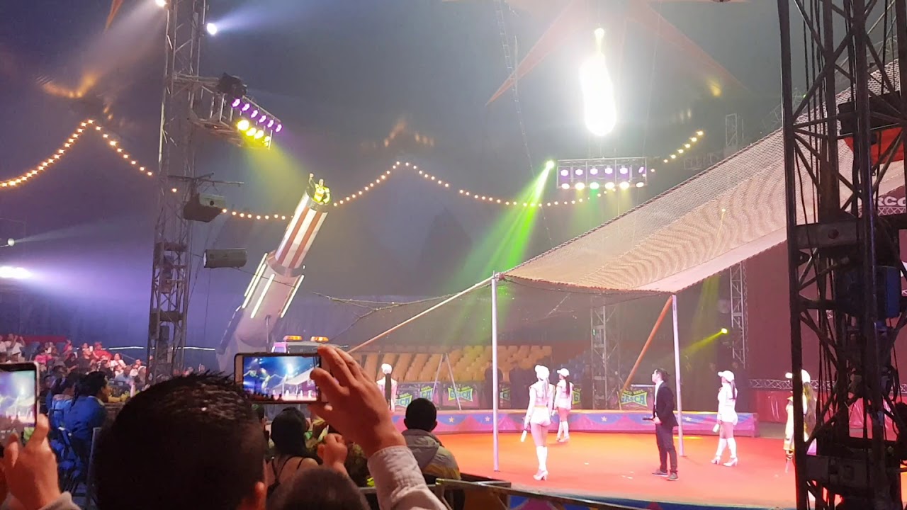 Circo Hermanos Gasca Bogotá bala humana cañon - YouTube