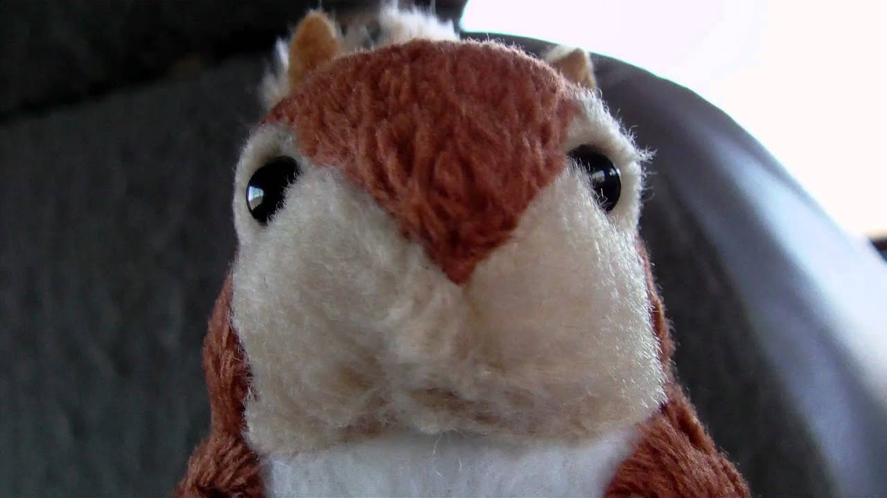 Fred Tufty Seeker Broomstick - The Squirrel - YouTube